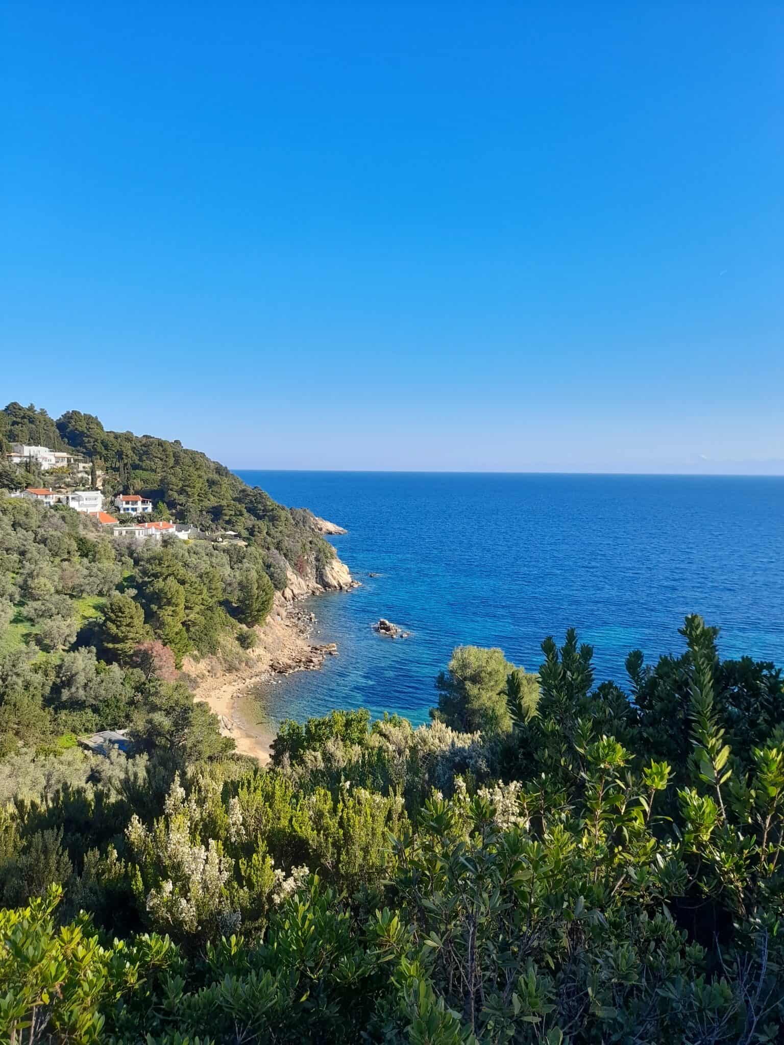 The Skiathos Bus & How to Use it: Getting Around Skiathos in 2024 ...